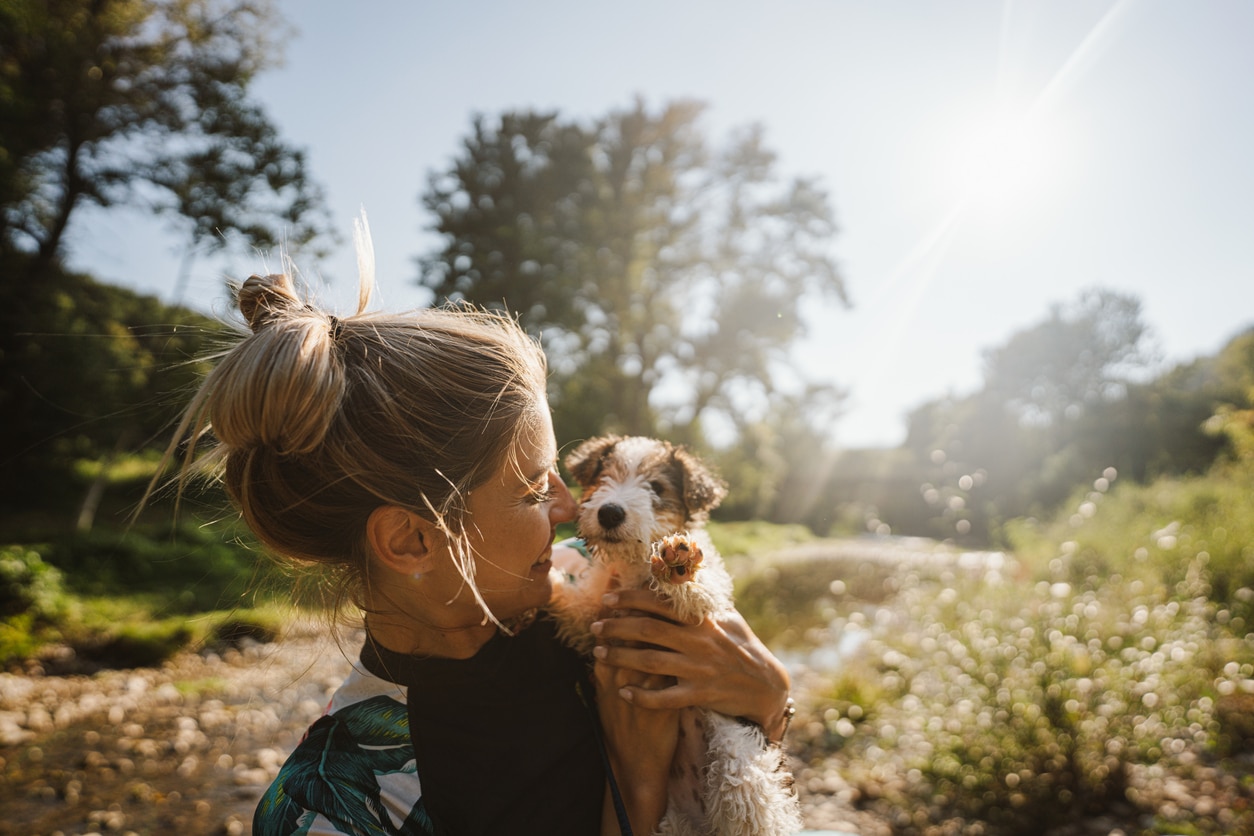 When to Start Flea and Tick Prevention for Puppies | PetMD
