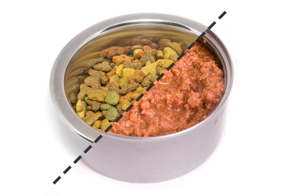 How to Read Cat Food Label | Choosing Best Cat Food & Ingredients | PetMD