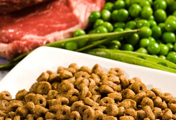 How to Read Dog Food Label | Choosing Best Dog Food & Ingredients | PetMD
