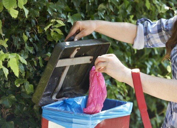 How to Clean Up Dog Poop | PetMD