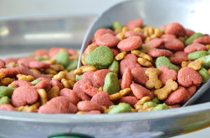 5 Ways to Strengthen Your Dog’s Bones | PetMD