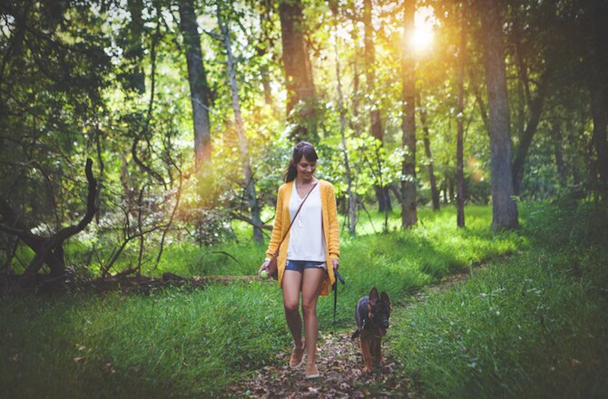 5 Ways to Strengthen Your Dog’s Bones | PetMD