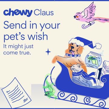 Chewy Quotes