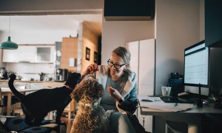 Flea & Tick - Page 2 | PetMD