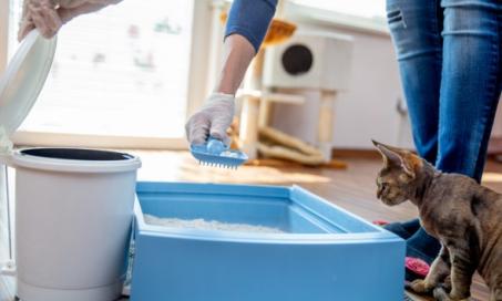 10 Best Cat Litters in 2025, Recommended by Vets | PetMD