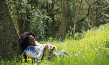 Adult Dogs | PetMD