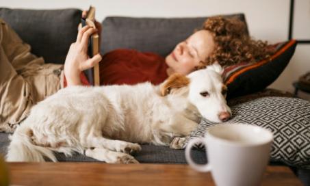 Can A Dog Be Bipolar