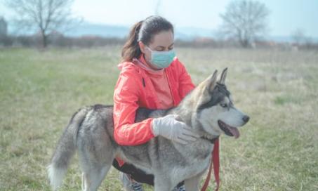 News For Pet Lovers | [site:name] | PetMD