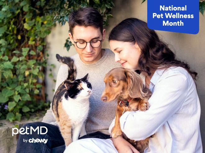 Wellness Month | PetMD