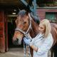 Bute (Phenylbutazone, Equi-bute, VetriBute) for Horses | PetMD