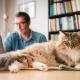 Lumps on Cats: How Veterinarians Diagnose Lumps and Bumps | PetMD