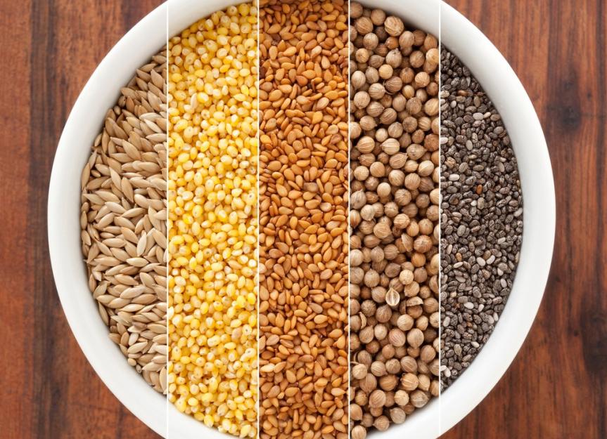 Ingredients In Dog Food And Cat Food Complete Guide PetMD Ingredients In Dog Food And Cat Food Complete Guide PetMD