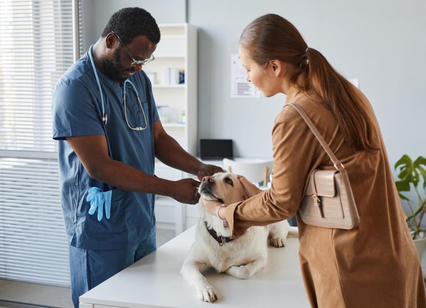 Masticatory Myositis in Dogs | PetMD