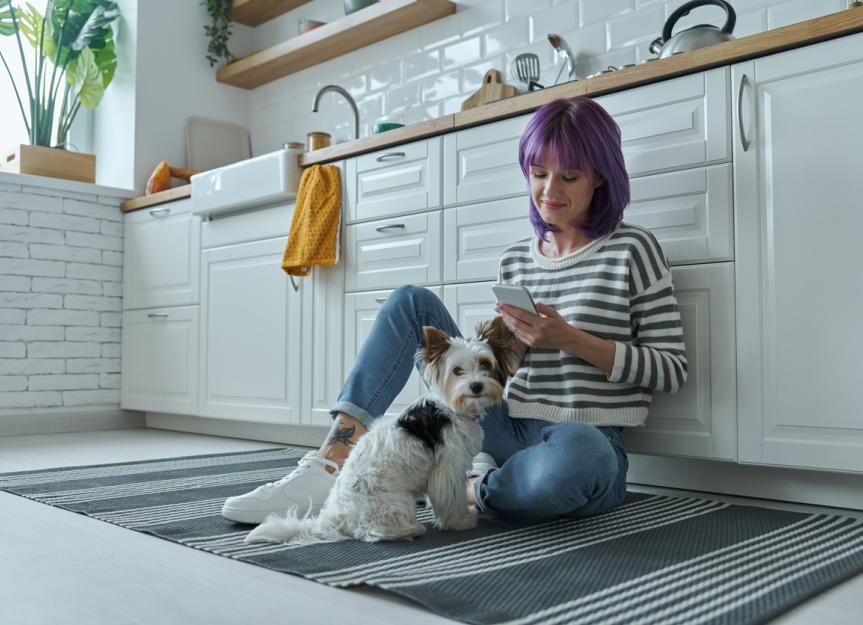 NSAID Toxicity in Dogs | PetMD