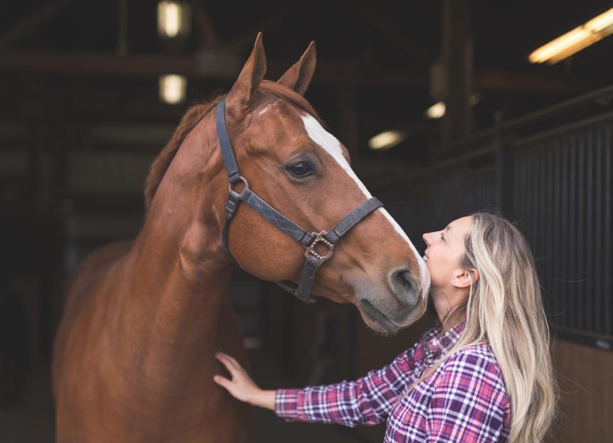 Banamine®( Flunixin meglumine, Prevail®, Vetameg®, Flu-nix ...