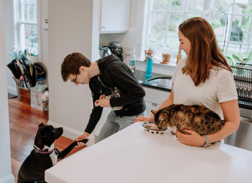 Credelio™ and Credelio™ CAT (lotilaner) | Medication: PetMD | PetMD