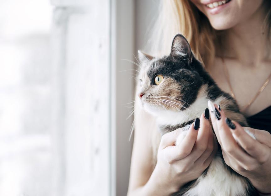 Revolution® (selamectin) | Medication: PetMD | PetMD