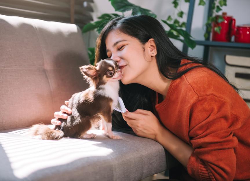 21 Longest-Living Dog Breeds | PetMD