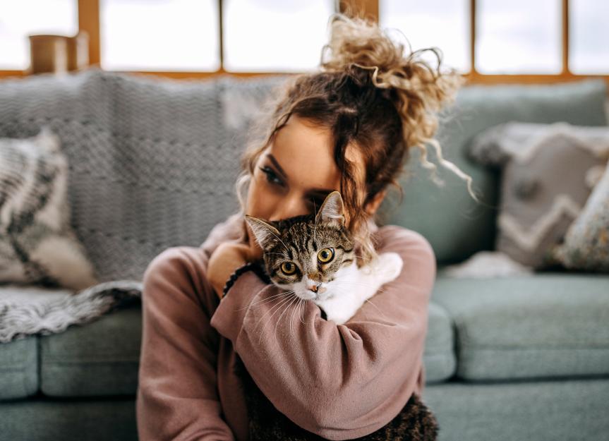 6 Cat Calming Products to Help Ease Cat Anxiety | PetMD