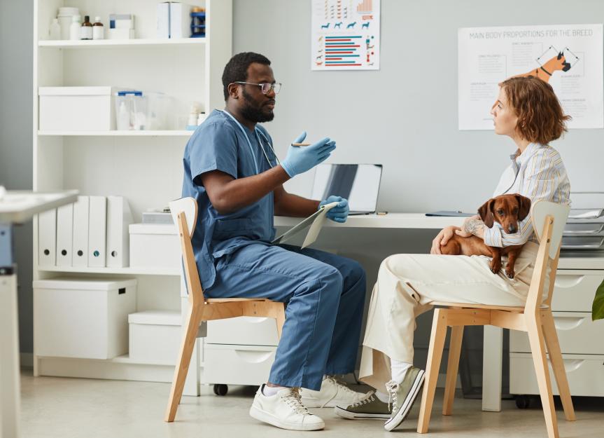 Lomustine for Dogs | PetMD