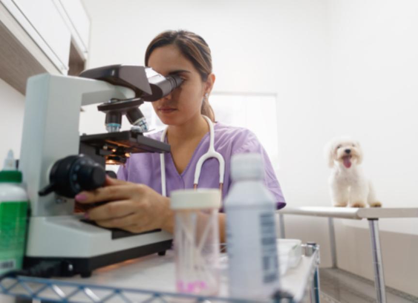 Should You Enroll Your Pet in a Clinical Trial? | PetMD