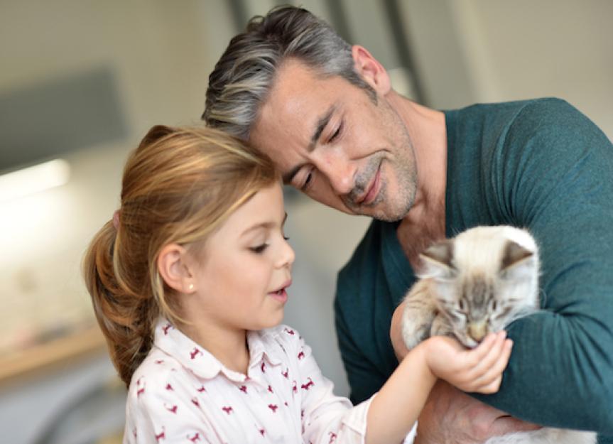 6 Ways to Tell Your Cat Is a Part of the Family | PetMD