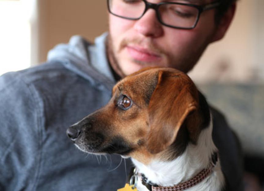 Dog Adoption Fees Dog Adoption Costs How Much Is Dog Adoption PetMD Dog Adoption Fees Dog Adoption Costs How Much Is Dog Adoption PetMD