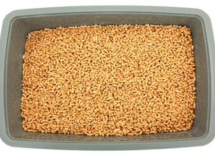 Eco-Friendly Cat Litter | PetMD