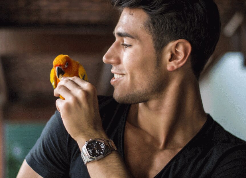 Shoulder Training Birds | PetMD