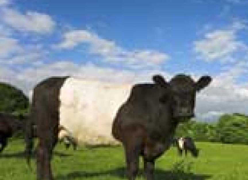 Preserving Rare Livestock Breeds | PetMD