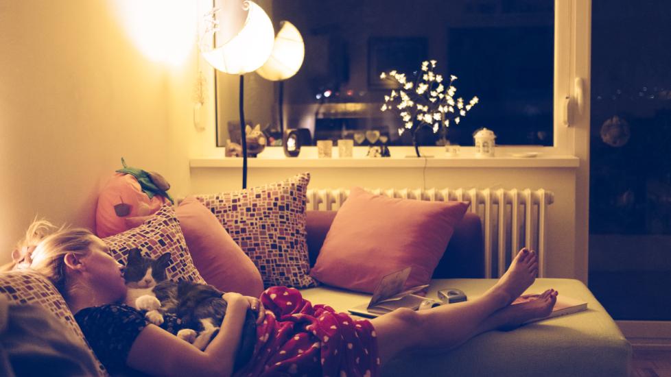 Cats and Fireworks: Keep Your Cat Calm and Safe | PetMD