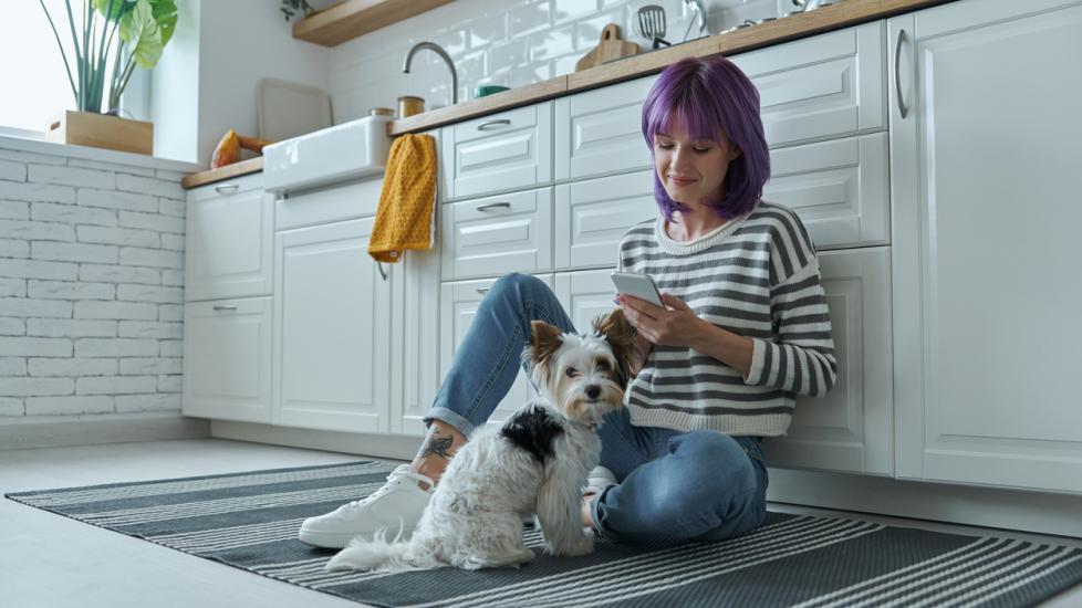 NSAID Toxicity in Dogs | PetMD