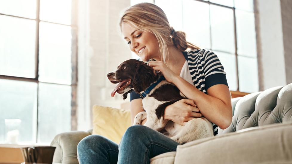 Diltiazem (Cardizem®, Tiazac®) | PetMD