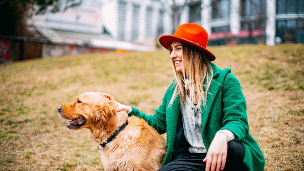 Vetoryl® (Trilostane) | Medication: PetMD | PetMD