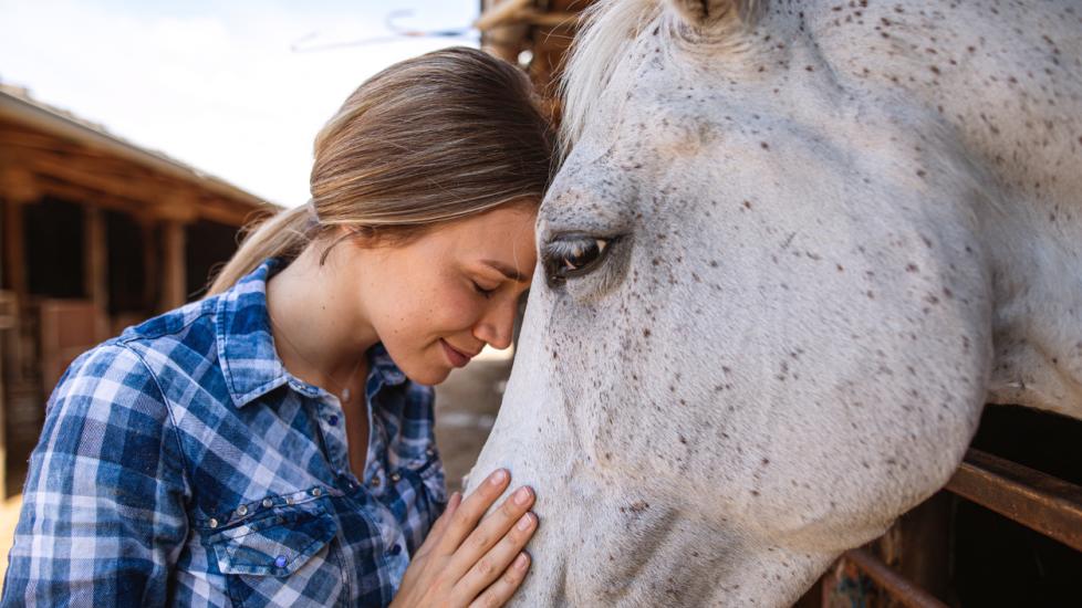 How to Read a Horse's Body Language | PetMD