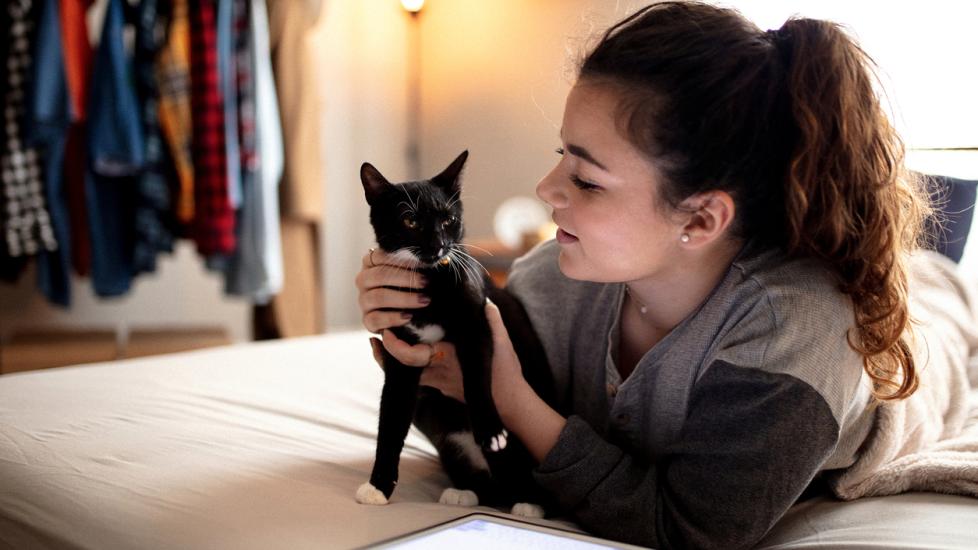 Drontal® and Drontal® Plus for Dogs and Cats | Dog, Cat, Pet Medication: PetMD | PetMD