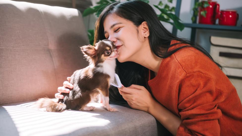 21 Longest-Living Dog Breeds | PetMD