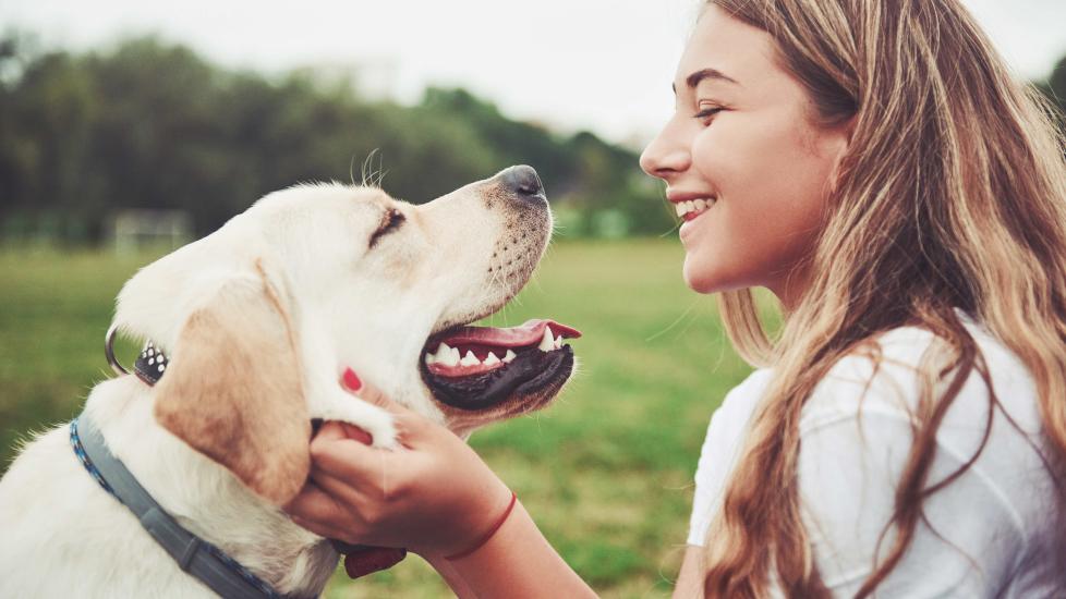 Do Dogs Know Their Name? | PetMD