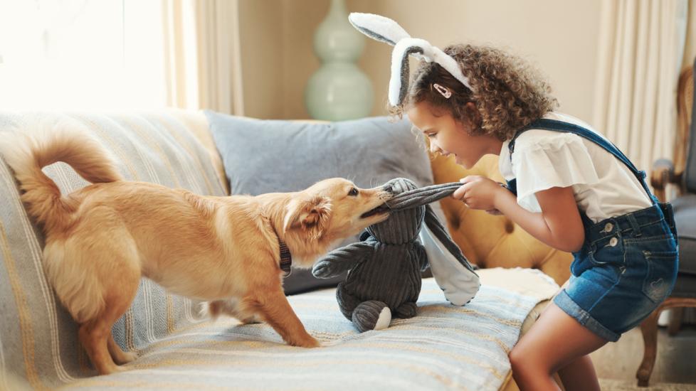 How to Teach Kids to Interact With Pets | PetMD