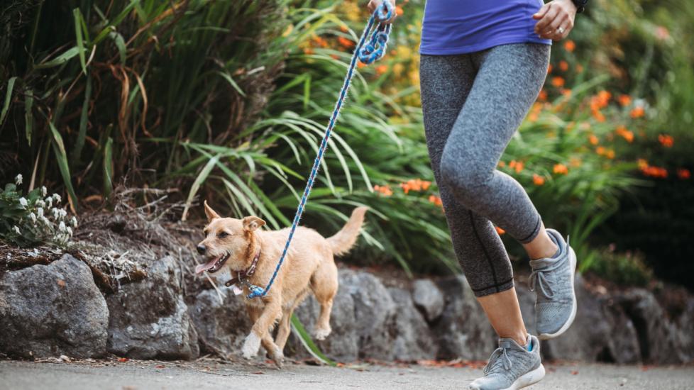 Women Running After Their Dog