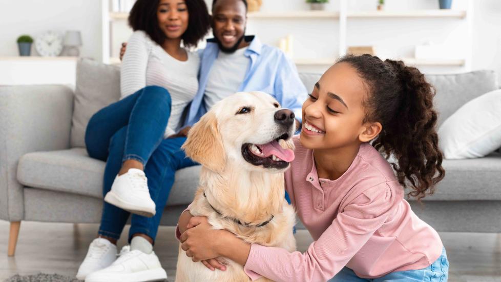 20 Best Family Dogs Your Kids Will Love | PetMD