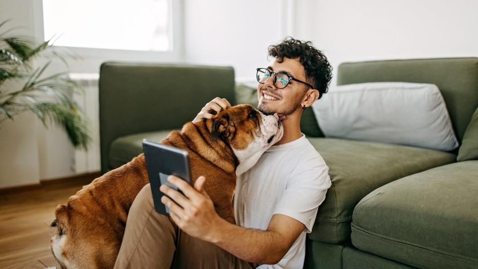 Digoxin for Dogs | Dog, Pet Medication: PetMD | PetMD