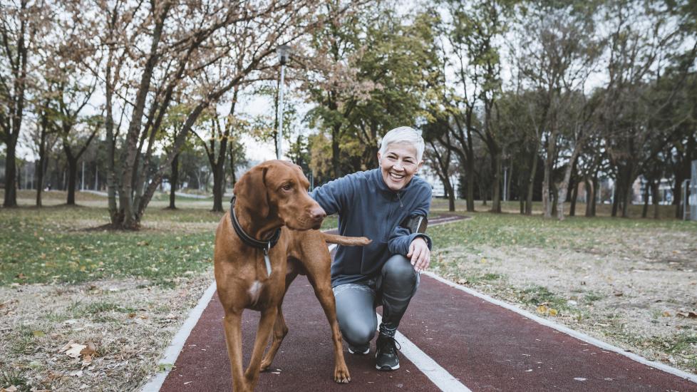 Exercising Your Senior Dog | PetMD