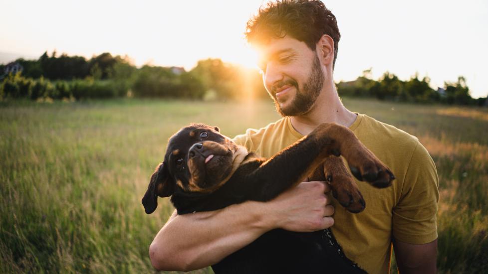 When To Start Flea and Tick Treatment for Puppies | PetMD