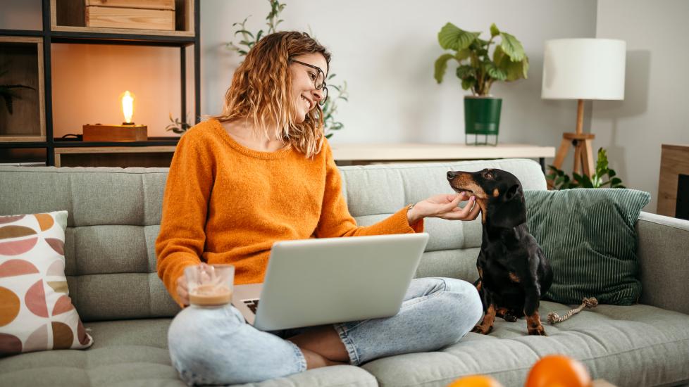 7 Ways To Get Help With Vet Bills | PetMD