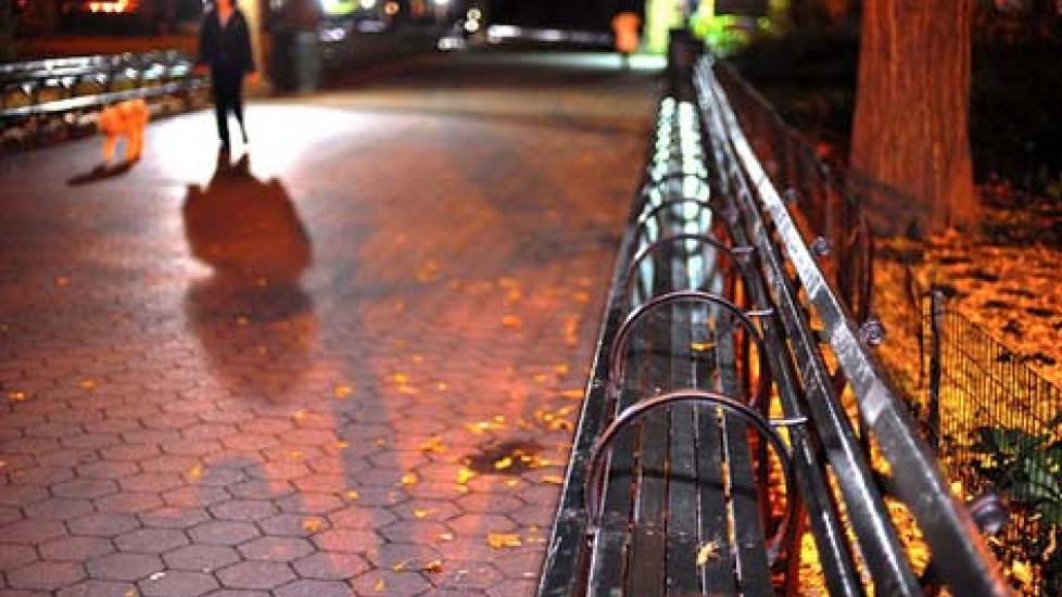 Staying Safe While Walking with Your Dog at Night | PetMD