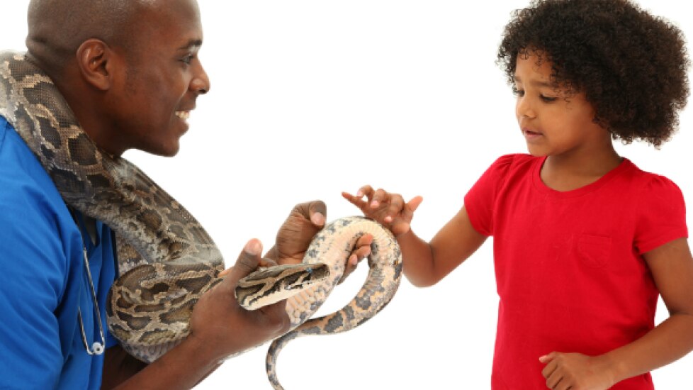Can Your Reptile Bond with You? | PetMD