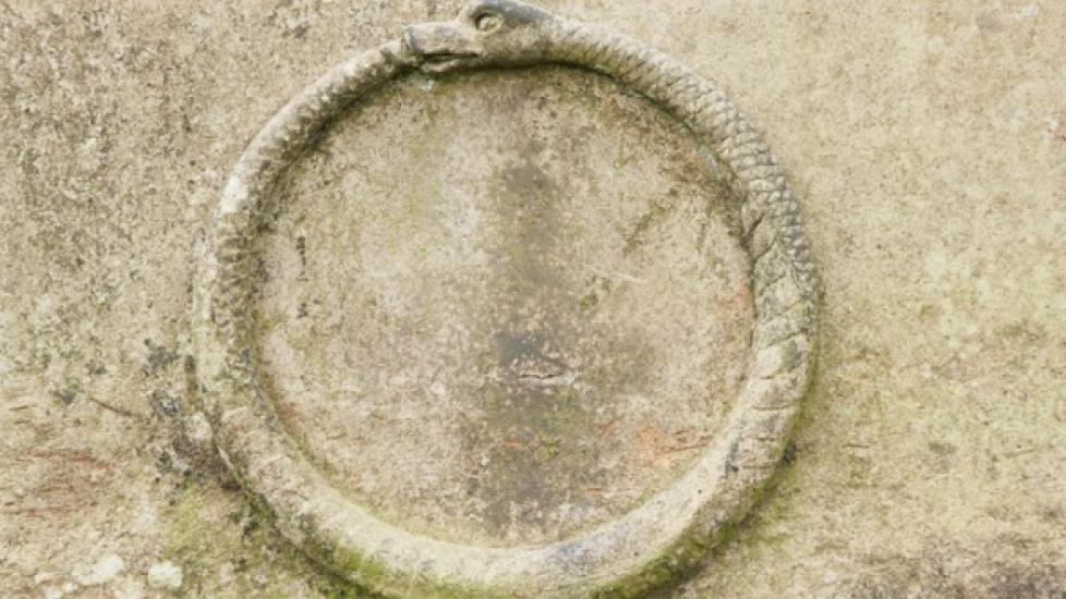 Why Do Snakes Bite Their Own Tail? | PetMD