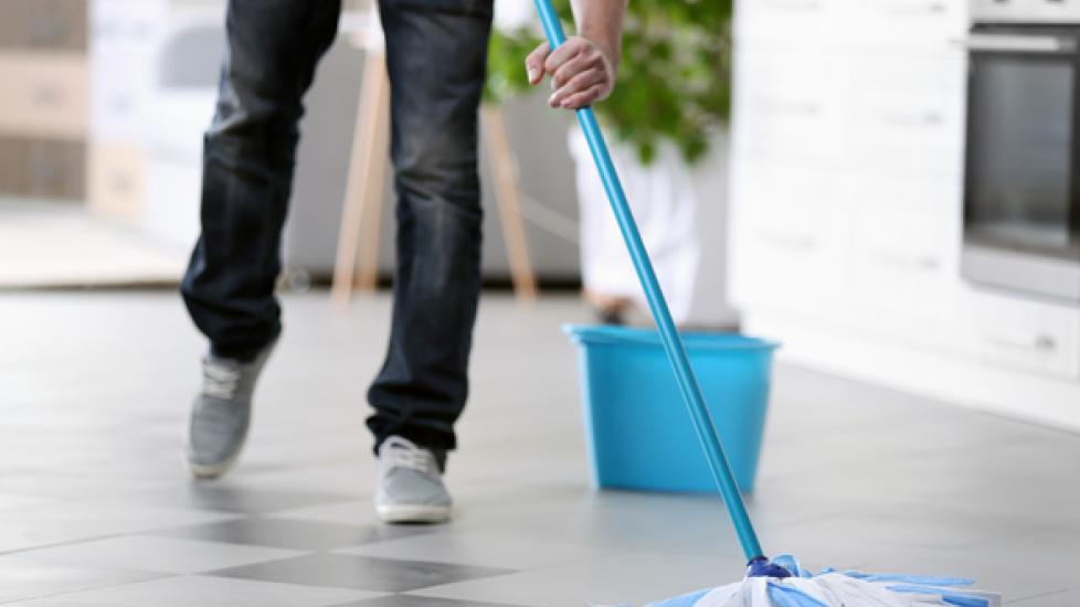 Bleach Poisoning in Pets: What You Should Know | PetMD