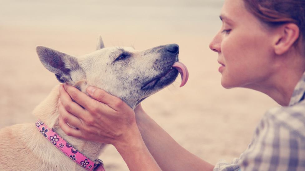 Why Losing a Dog Can Be Harder Than Losing a Relative | PetMD